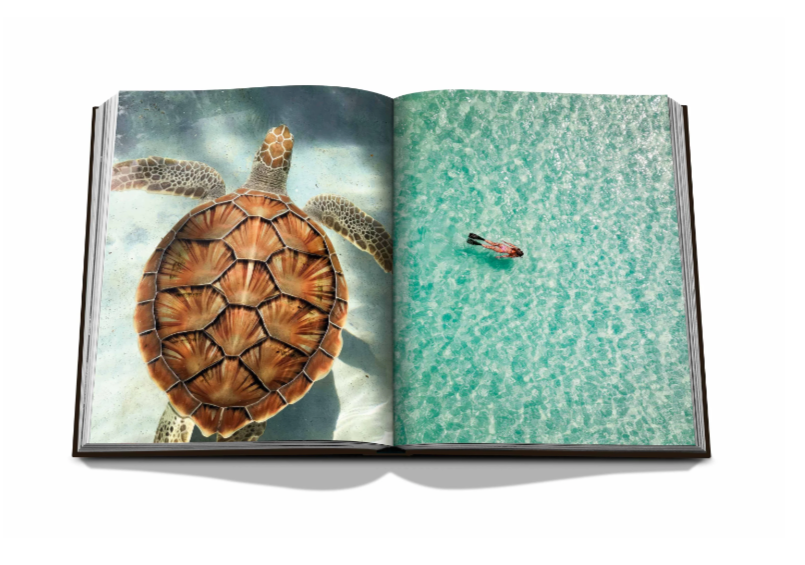 Jamaica Vibes Book – FOUND